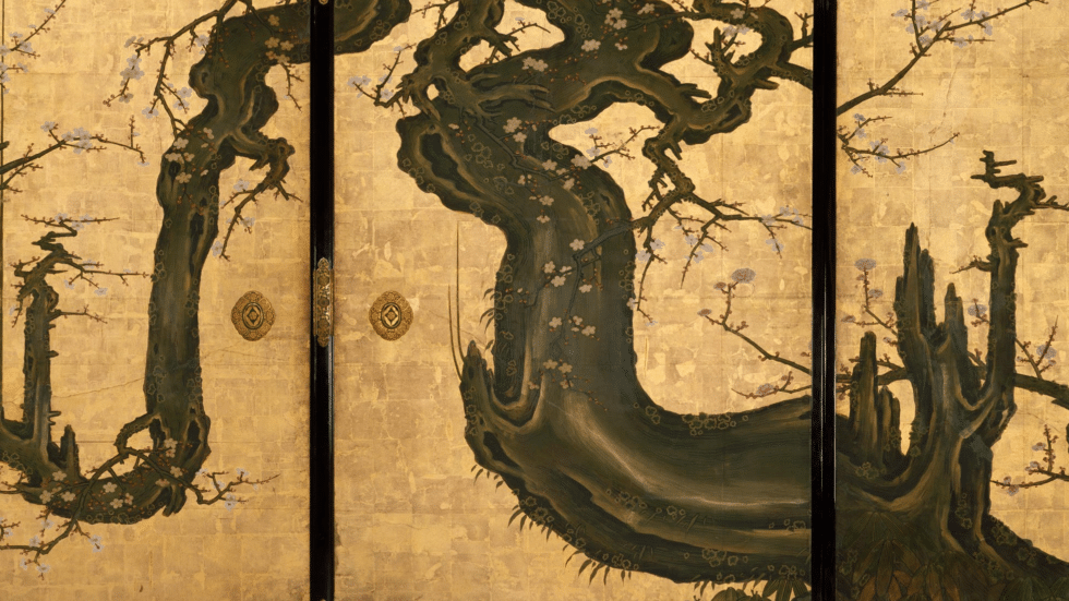 Visual Thinking Strategies (VTS) Training and Workshops