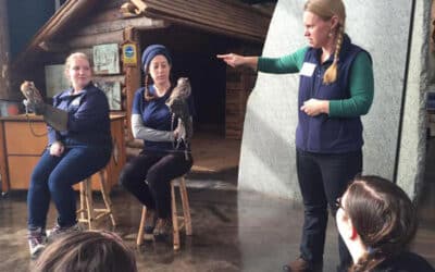 VTS Training: facilitate Visual Learning & Critical Thinking